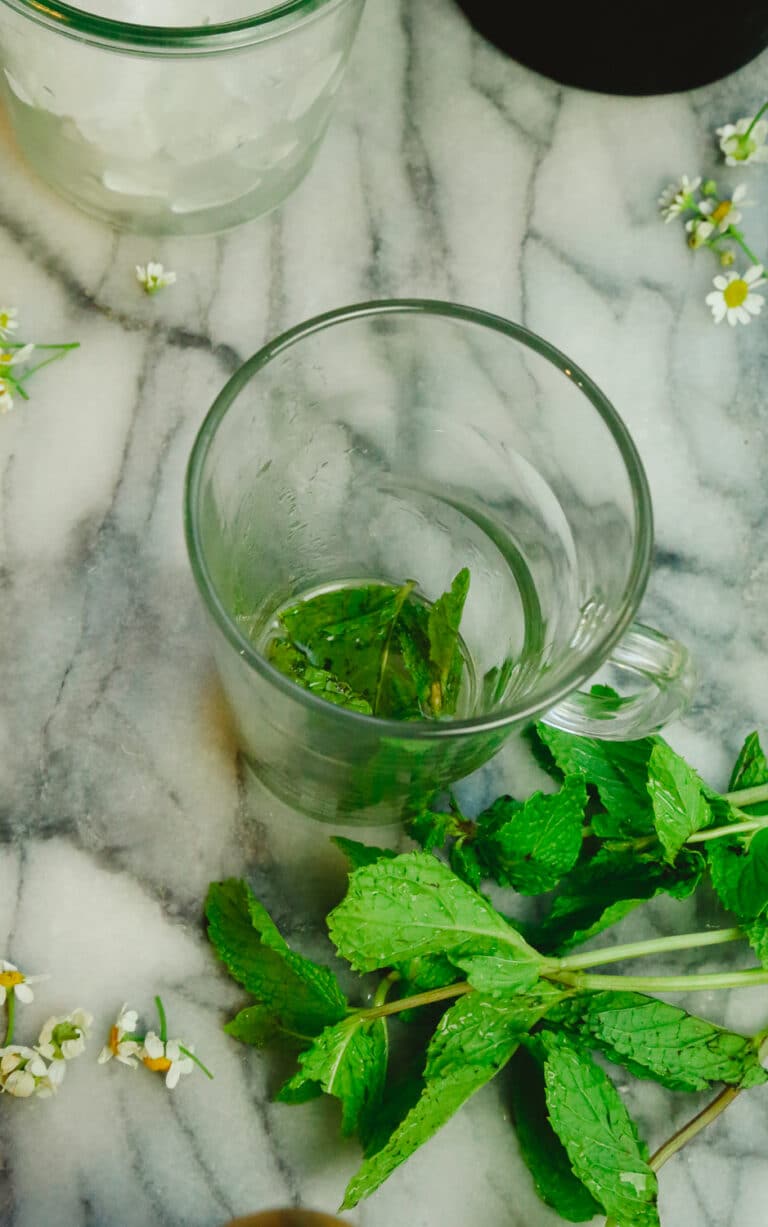 MINT ICED COFFEE (COLD-BREW) - Fitty Foodlicious