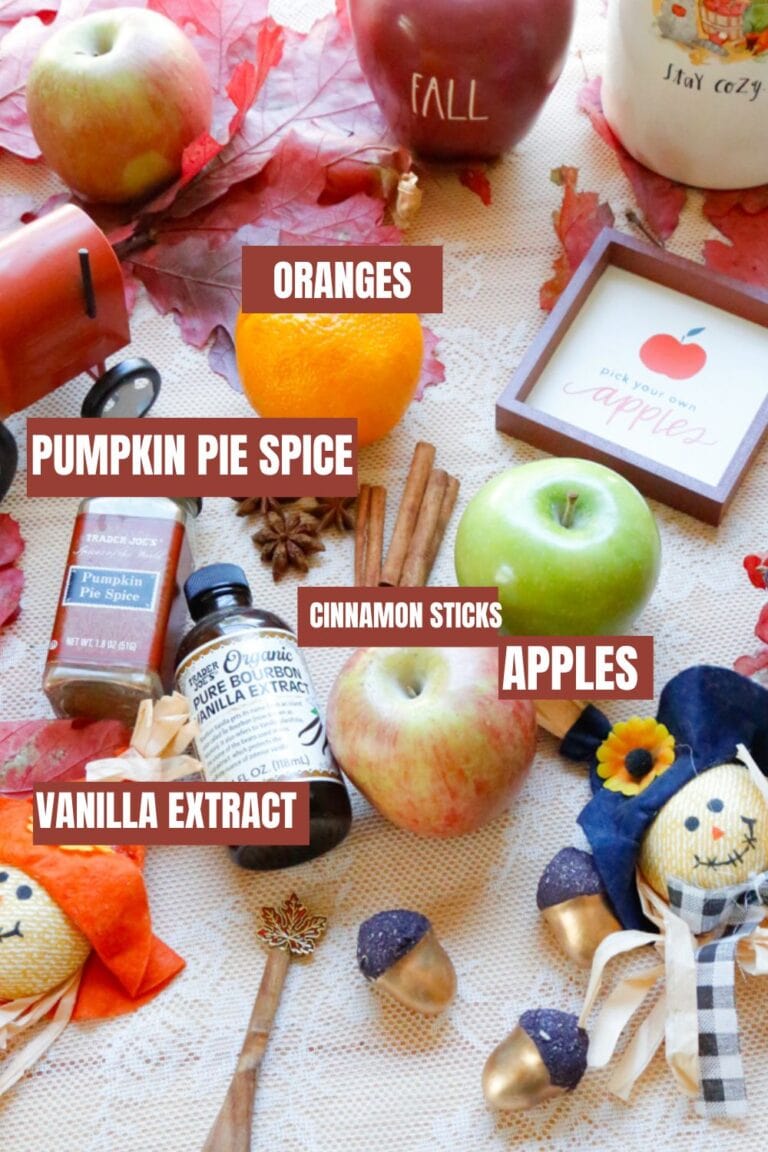 Fall Simmer Pot Recipe | Simple Cozy Autumn Potpourri - Fitty Foodlicious