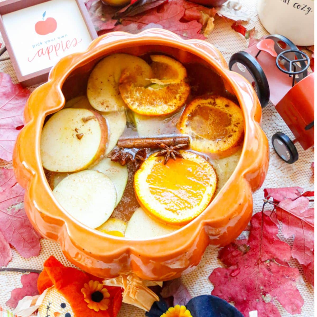 Fall Simmer Pot Recipe | Simple Cozy Autumn Potpourri - Fitty Foodlicious